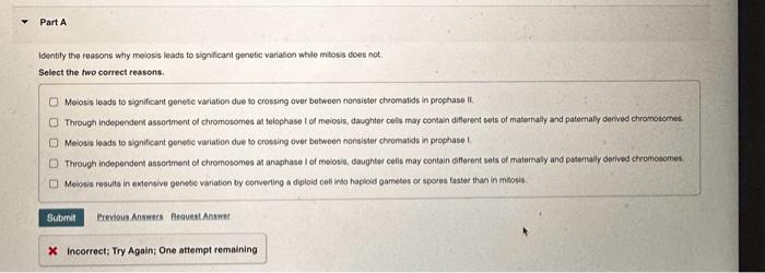 Solved Identify the reasons why meiosis leads to signilicant | Chegg.com