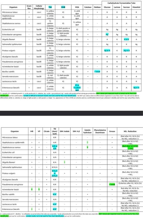 Solved i need flowcharts created separating all 15 | Chegg.com
