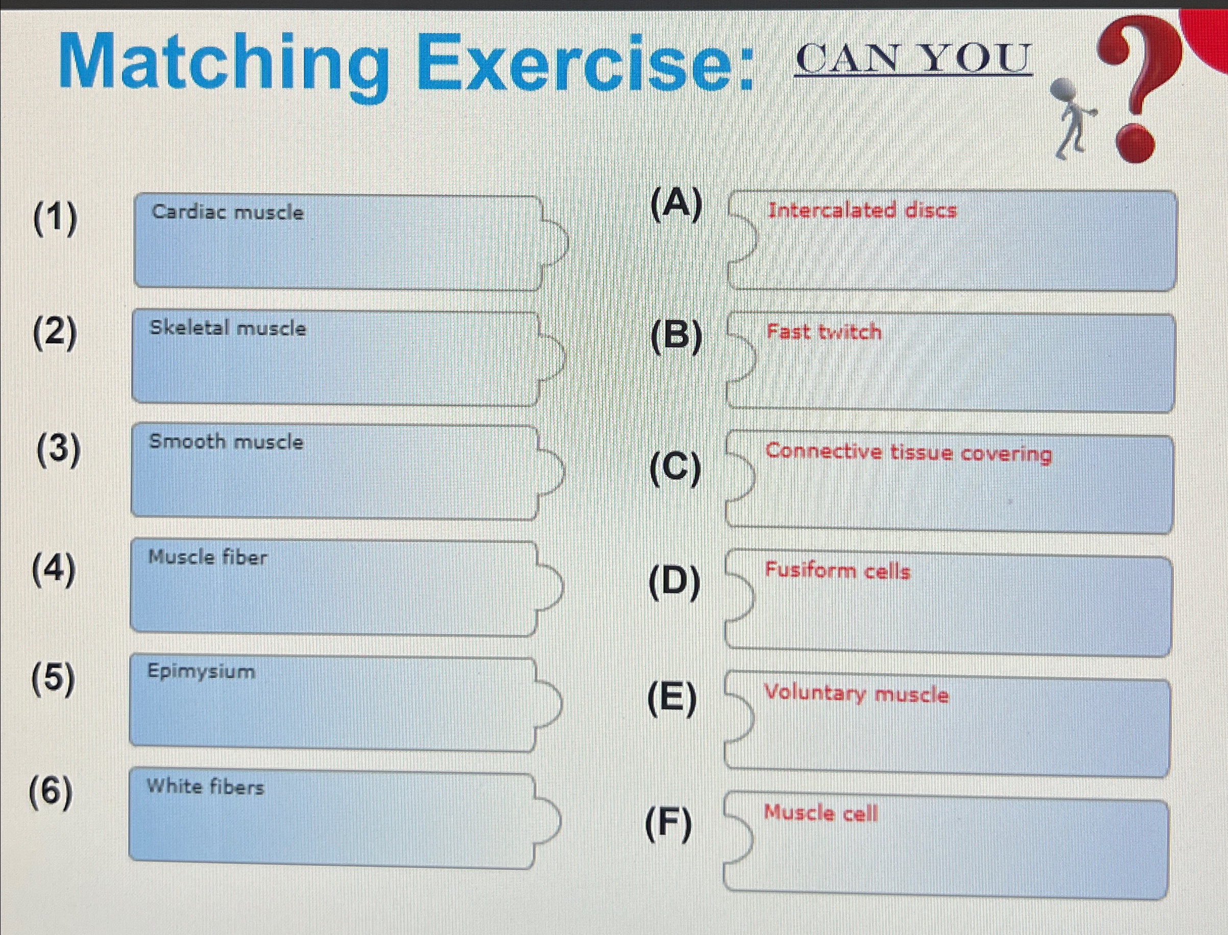 Solved Matching Exercise: CAN | Chegg.com