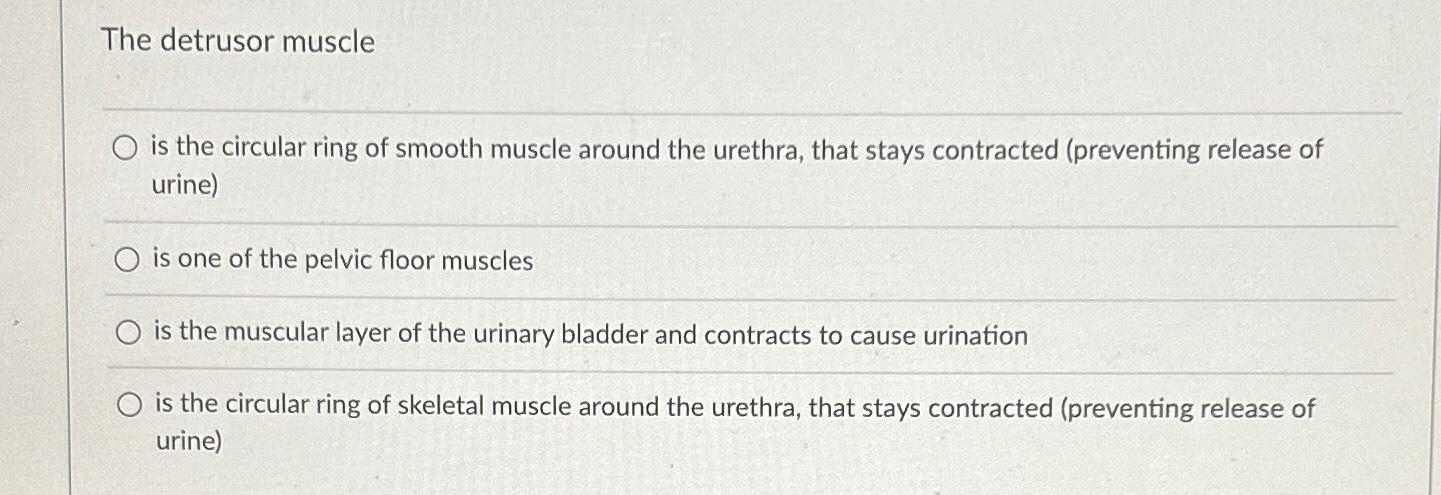Solved The detrusor muscleis the circular ring of smooth | Chegg.com