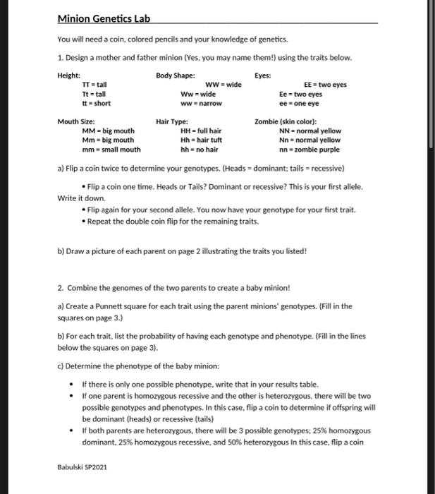 Solved Minion Genetics Lab You will need a coin, colored | Chegg.com