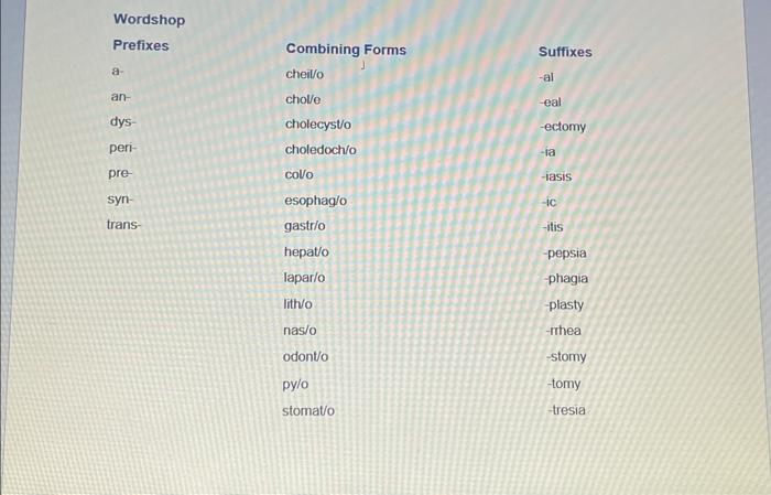 Wordshop Prefixes a- an- dys- peri- pre- syn- trans- | Chegg.com