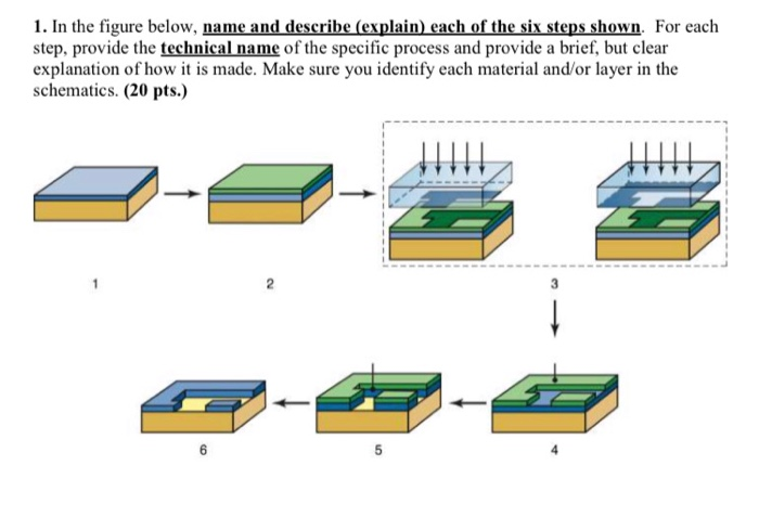 Solved 1. In the figure below, name and describe (explain) | Chegg.com