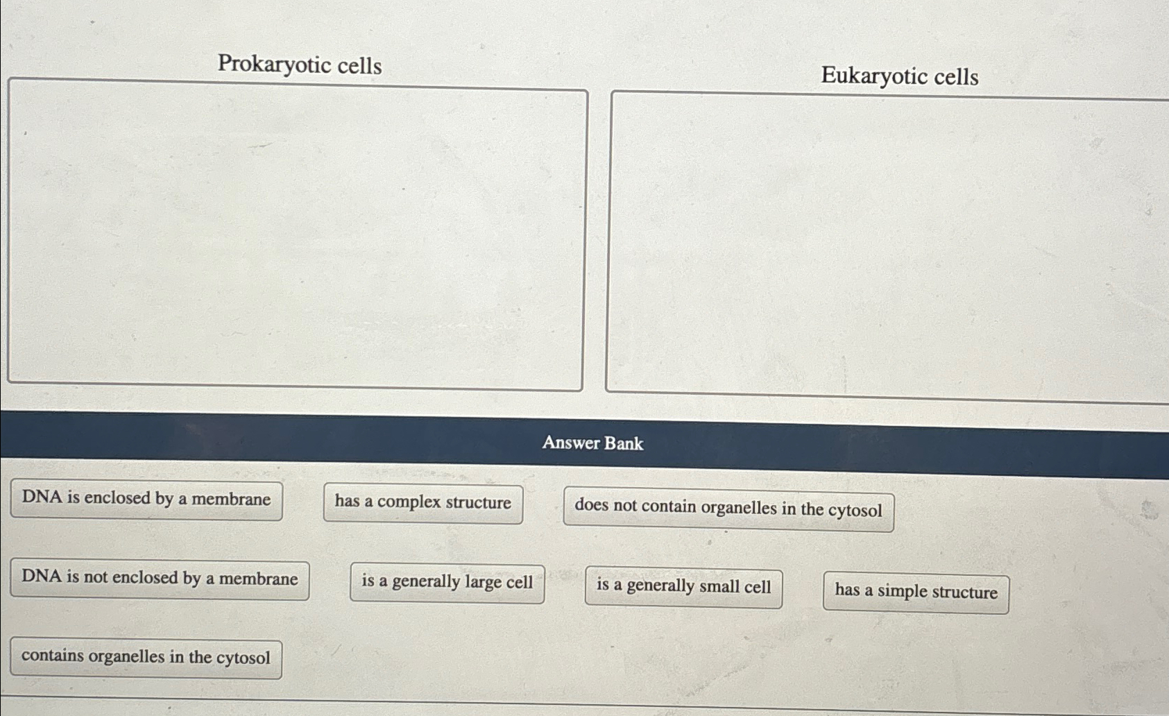 Solved Prokaryotic cellsEukaryotic cellsAnswer Bankhas a | Chegg.com
