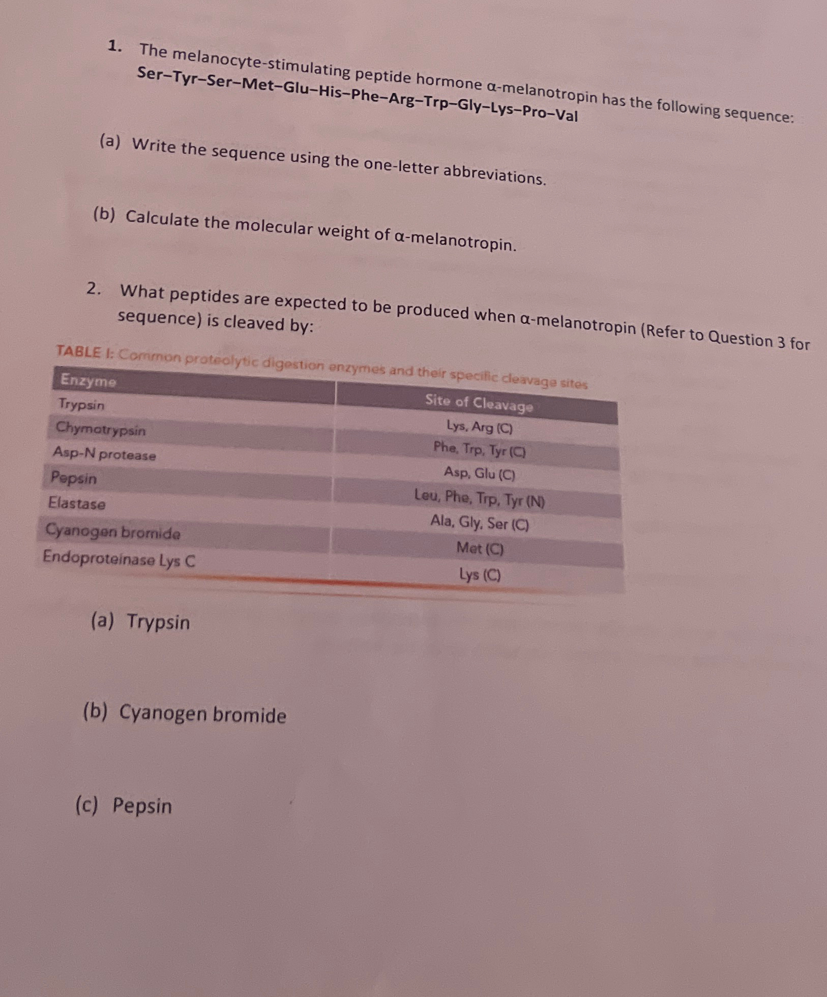 The melanocyte-stimulating peptide hormone | Chegg.com
