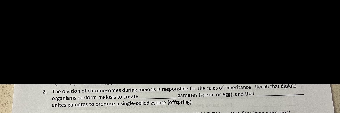 Solved The division of chromosomes during meiosis is | Chegg.com