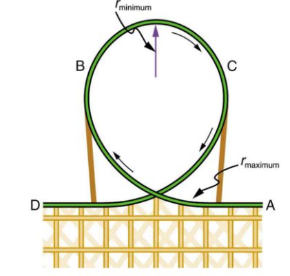 Solved Consider the following diagram of a roller coaster | Chegg.com