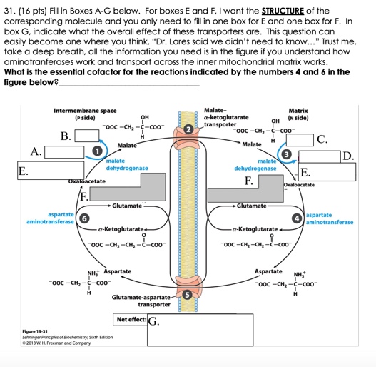 Solved (16 ﻿pts) ﻿Fill in Boxes A-G below. For boxes E and | Chegg.com