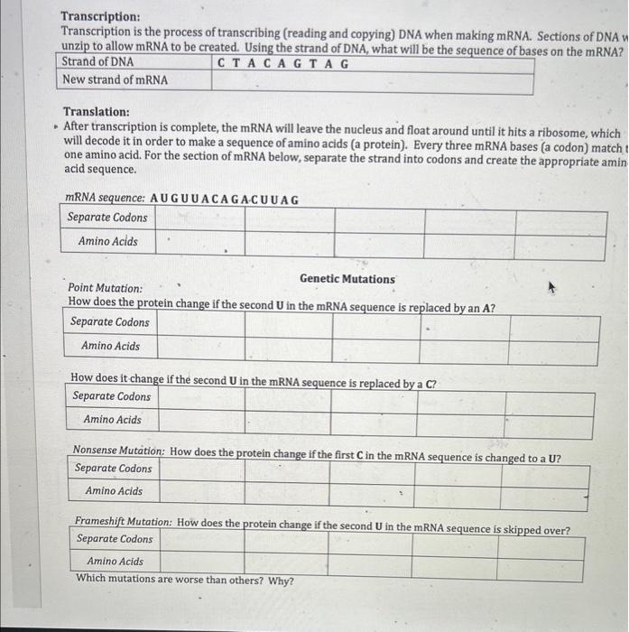 Solved Transcription: Transcription is the process of | Chegg.com