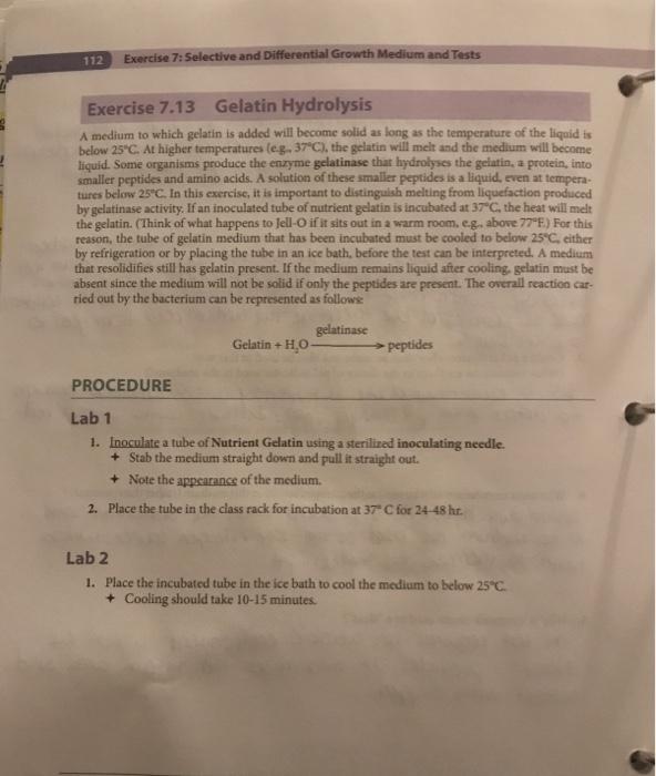 Solved Excercise 7.13 Gelatin Hydrolysis. Fill in the table | Chegg.com