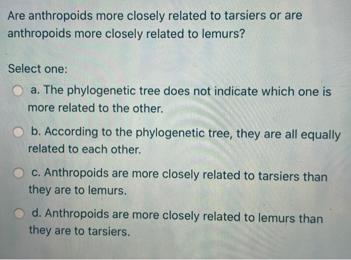 Solved Are anthropoids more closely related to tarsiers or | Chegg.com