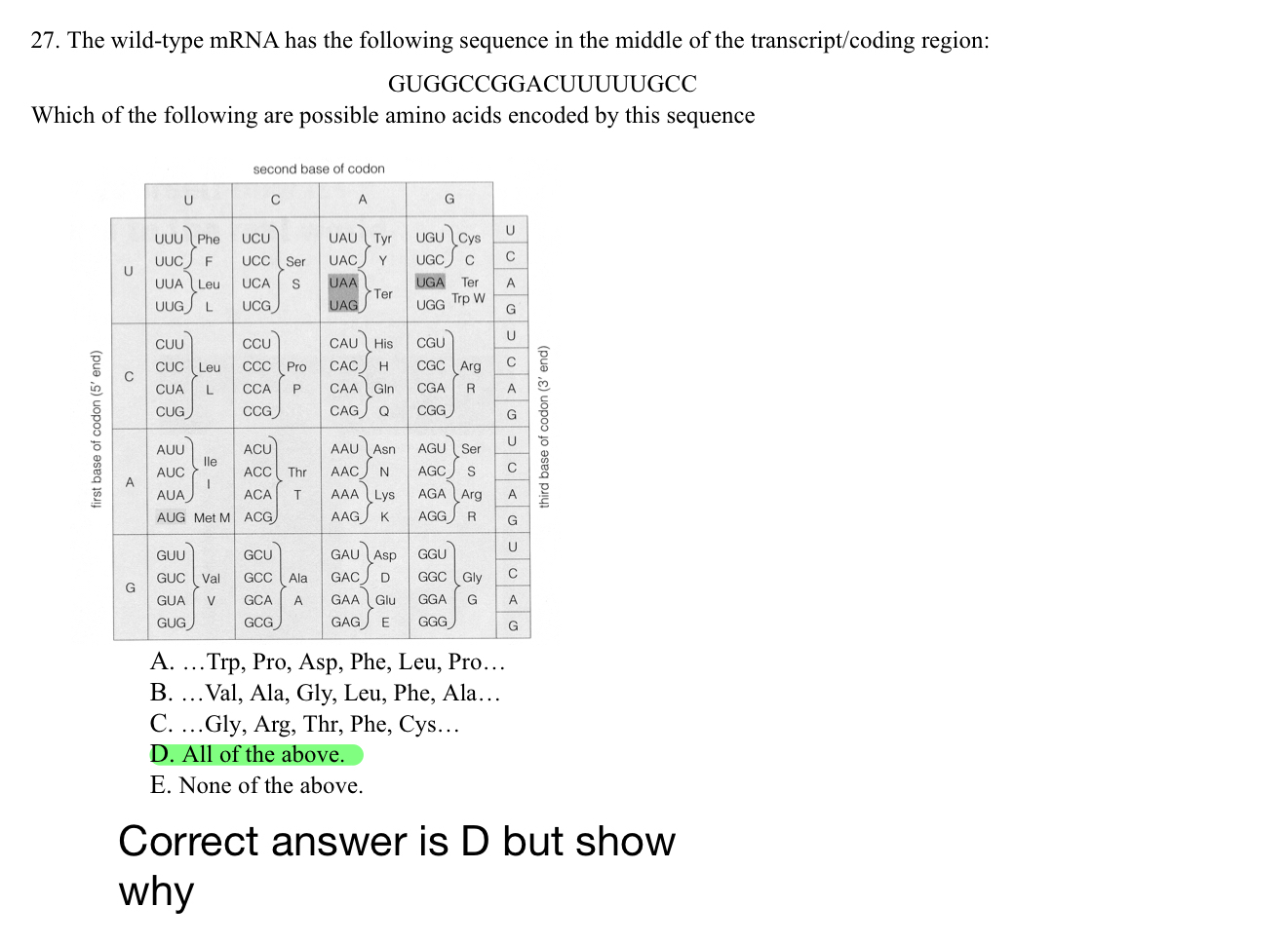Solved The wild-type mRNA has the following sequence in the | Chegg.com