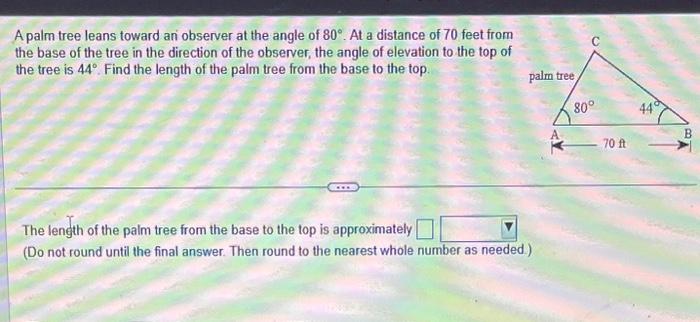 Solved A palm tree leans toward an observer at the angle of | Chegg.com