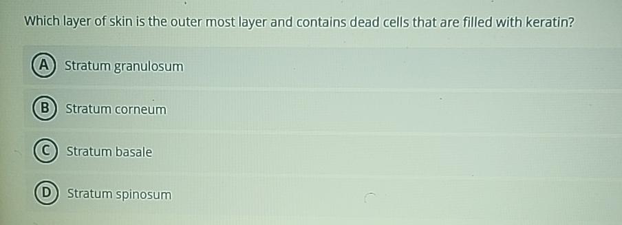 Solved Which layer of skin is the outer most layer and | Chegg.com