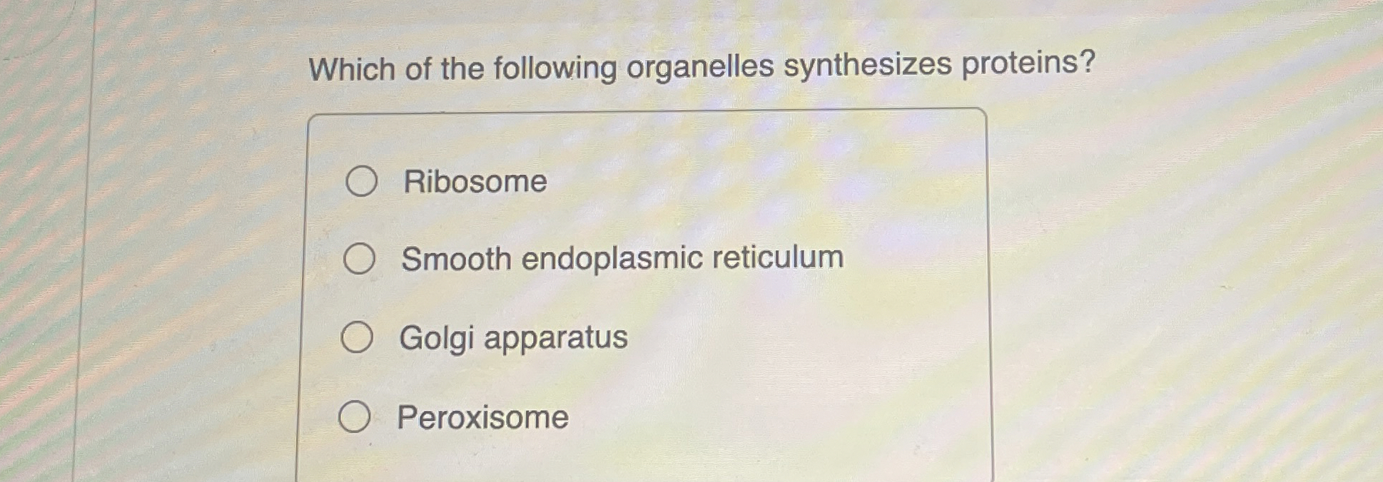 Solved Which of the following organelles synthesizes | Chegg.com
