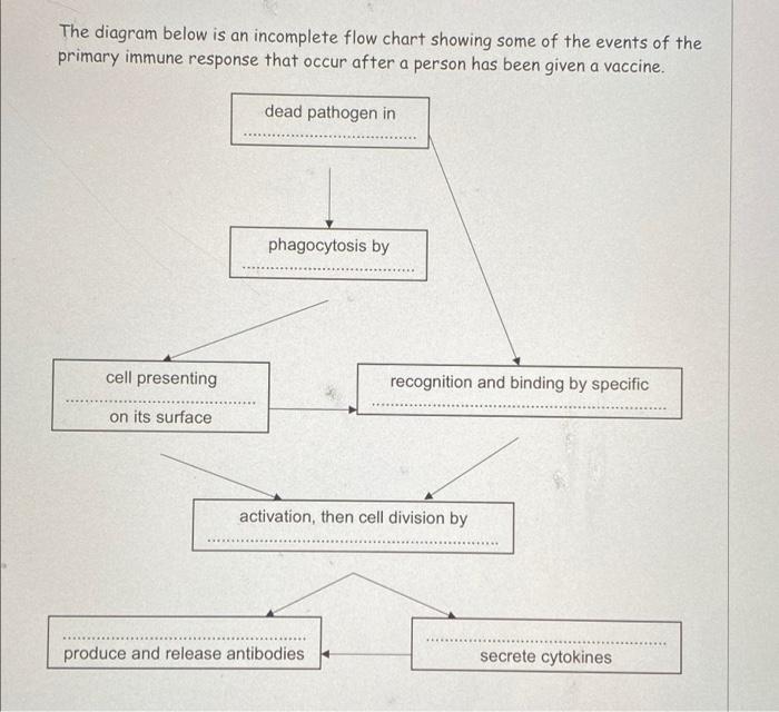 Solved The diagram below is an incomplete flow chart showing | Chegg.com