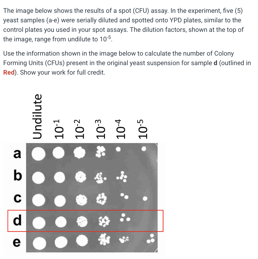 Solved The image below shows the results of ﻿a spot (CFU) | Chegg.com