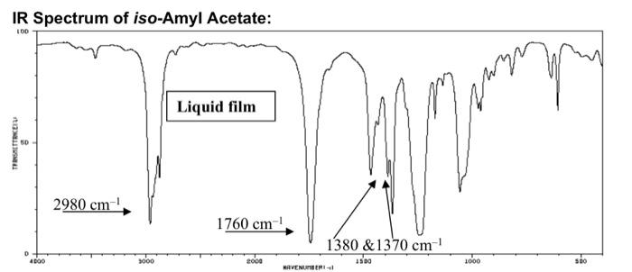Solved 5. The principal bands in the infrared spectra of the | Chegg.com