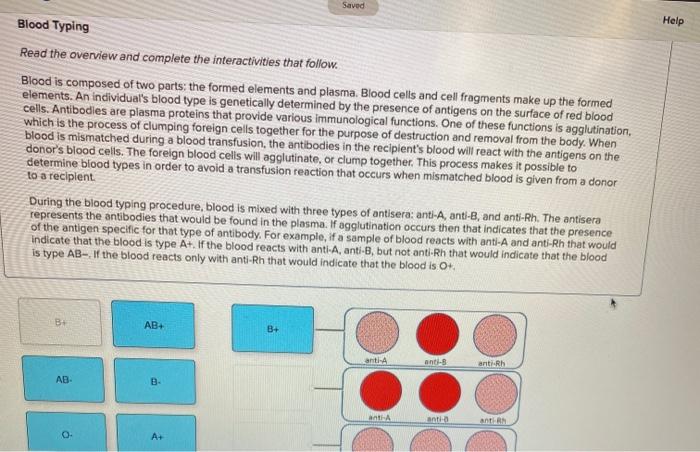 Solved Saved Help Blood Typing Read the overview and | Chegg.com
