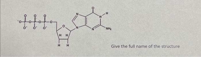 Give the full name of the structure | Chegg.com