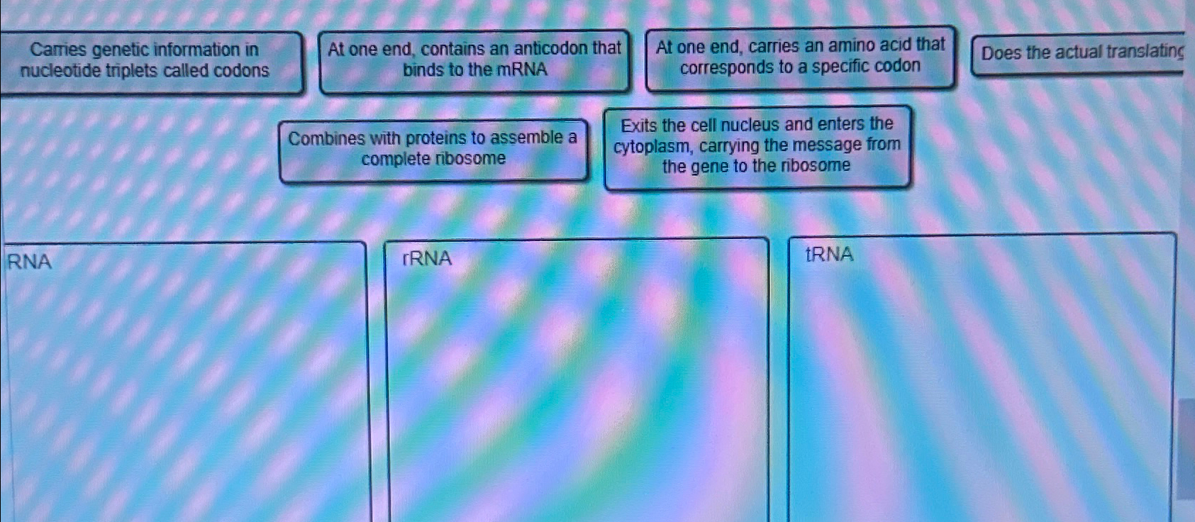 Solved Carries genetic information in nucleotide triplets | Chegg.com
