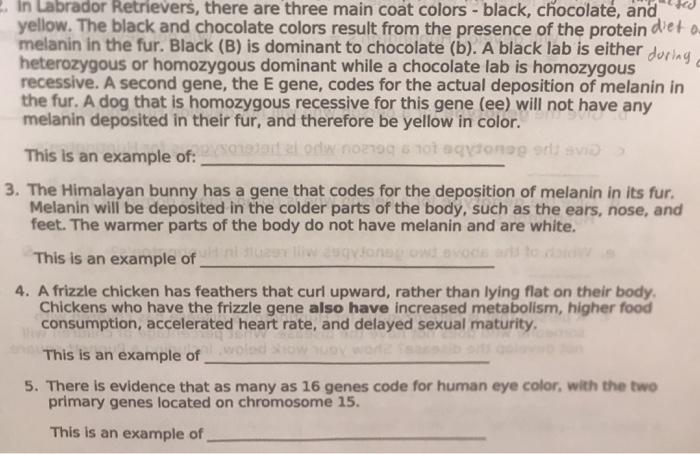 Solved tasis, Pleiotropy, and Polygenic Inheritance 1. | Chegg.com