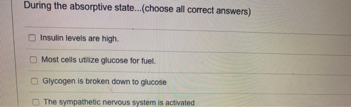 Solved During The Absorptive State Choose All Correct