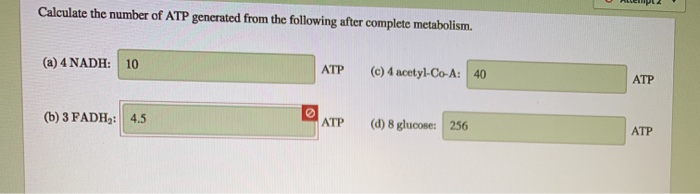 Solved Calculate the number of ATP generated from the | Chegg.com