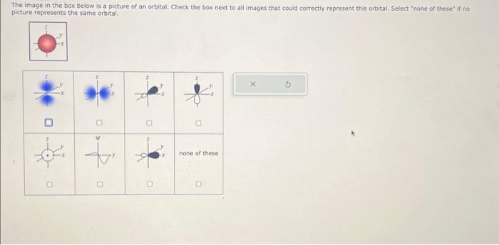 Solved The image in the box below is a picture of an | Chegg.com