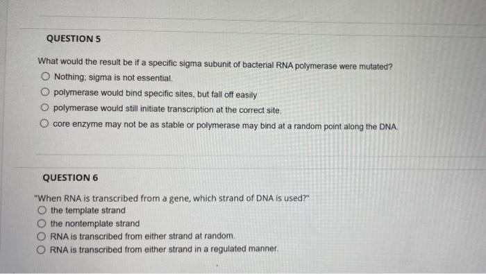 Solved What would the result be if a specific sigma subunit | Chegg.com