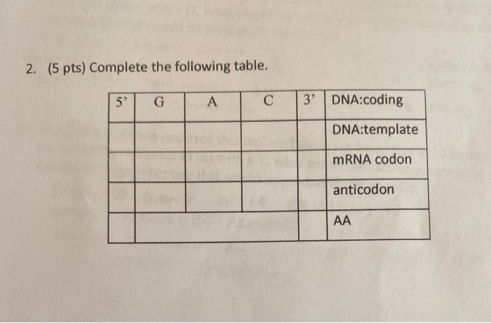 Solved 2. (5 pts) Complete the following table. 5' A С 3' | | Chegg.com