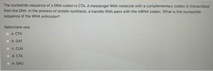Solved The nucleotide sequence of a DNA codon is CTA. A | Chegg.com