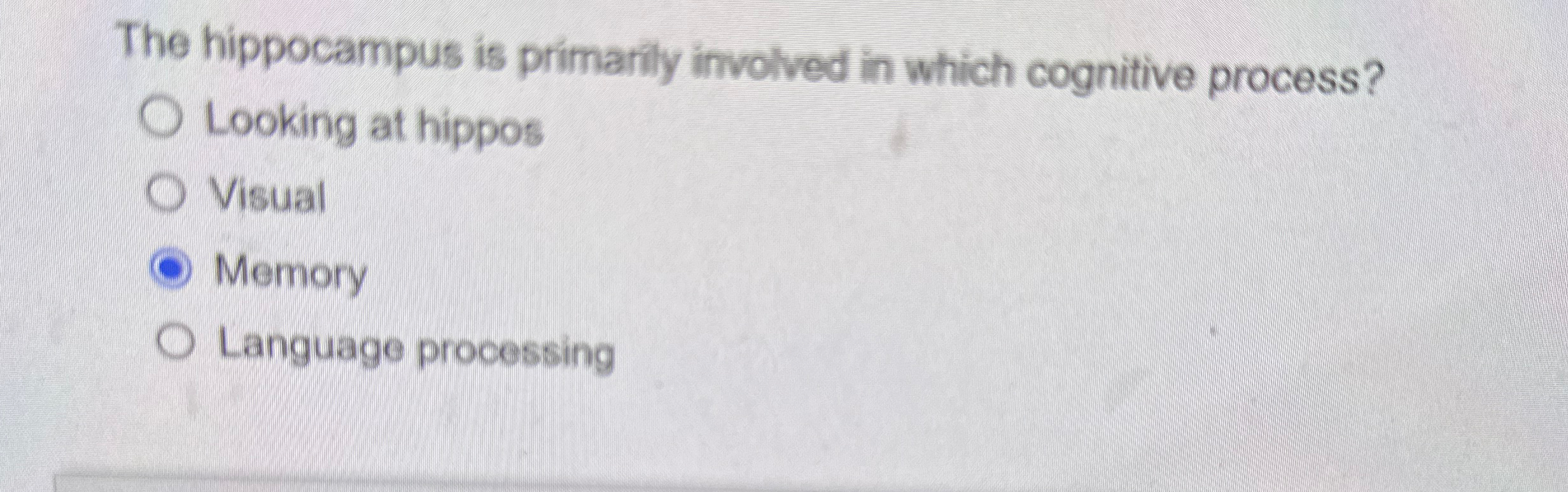 Solved The hippocampus is primarily involved in which | Chegg.com