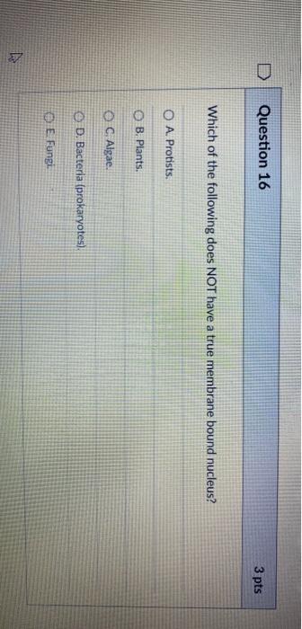 Solved Question 14 3 pts Which subcellular structure looks | Chegg.com