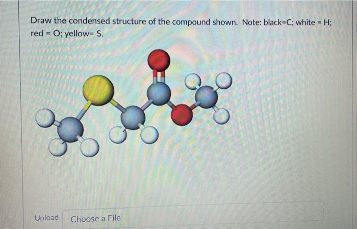 Solved Using your handout as a guide, explain why this is | Chegg.com
