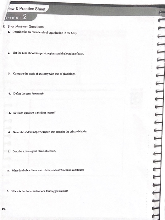 Solved Review & Practice Sheet Exercise 2 to the elbow 12. | Chegg.com
