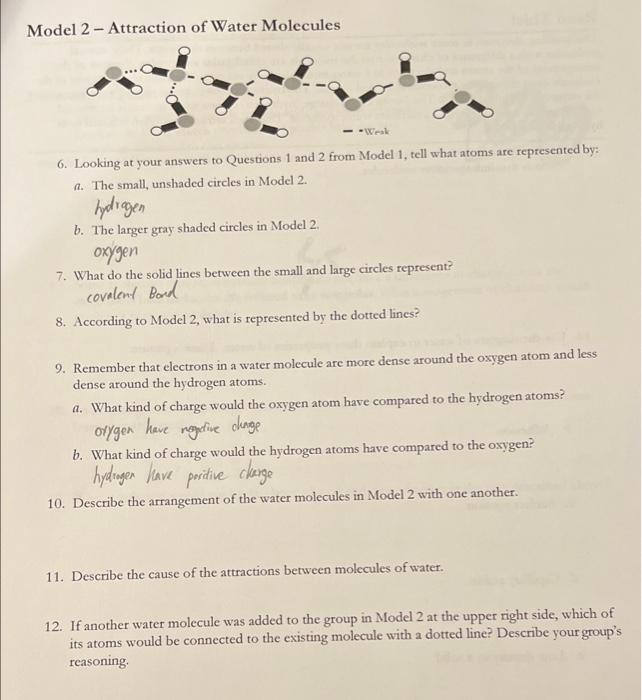 Solved Model 2 - Attraction of Water Molecules - --West 6. | Chegg.com