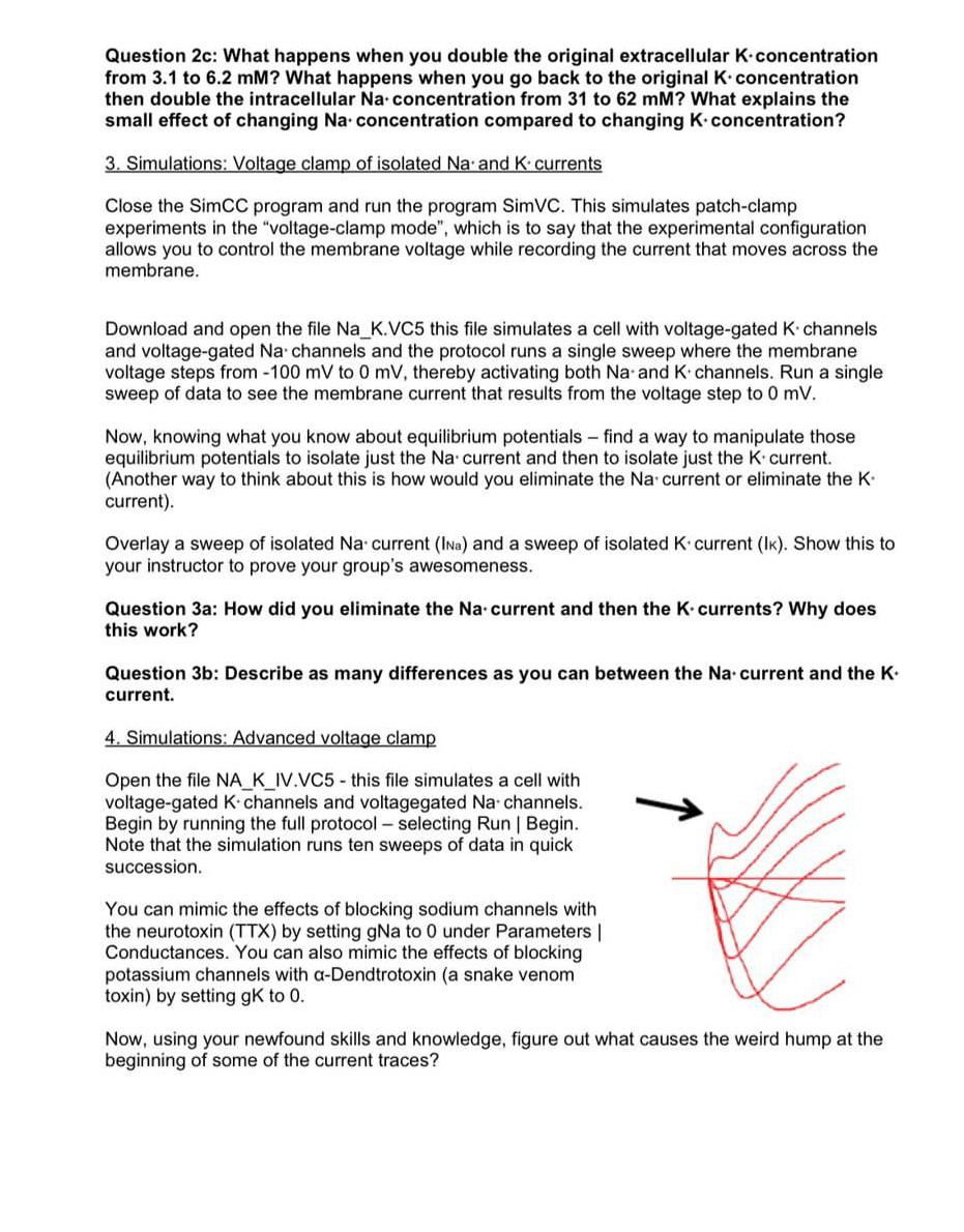 Solved Simulation Exercises and Homework Questions Ion | Chegg.com