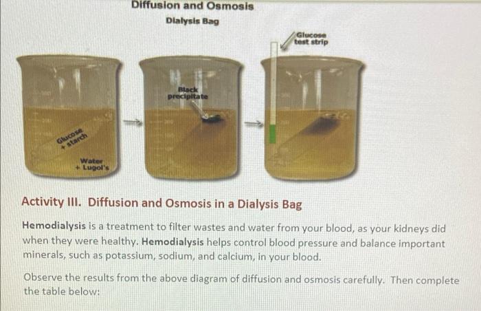 Solved Observe the results from the diagram of diffusion and | Chegg.com