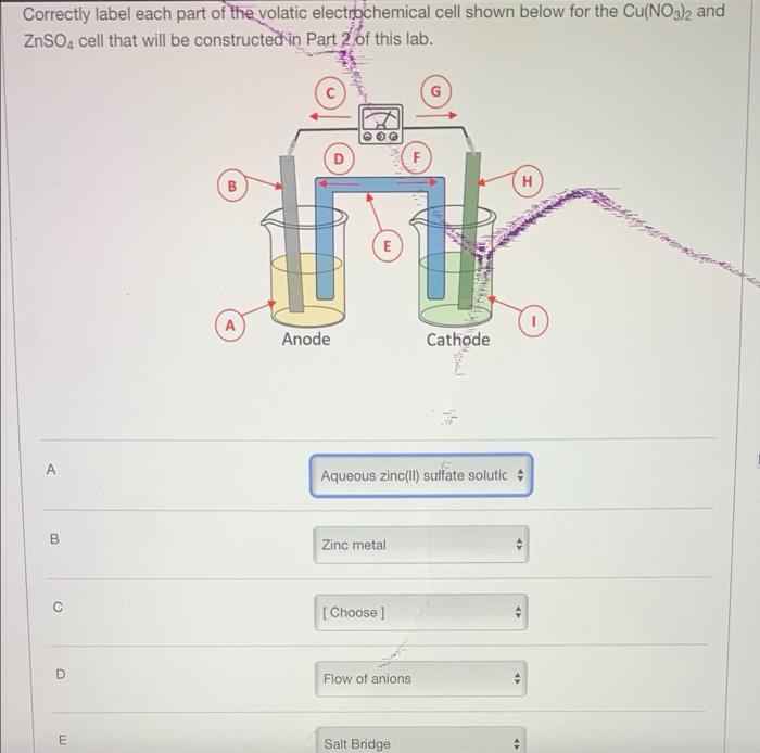 Solved Correctly label each part of the volatic | Chegg.com