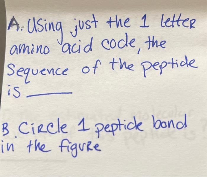 Solved A. USing just the 1 letter amino acid cocle, the | Chegg.com