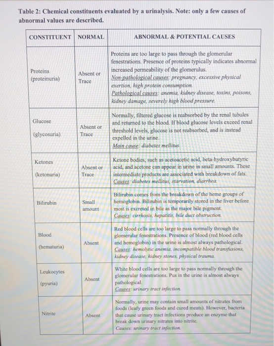 Solved A complete urinalysis involves an examination of the | Chegg.com
