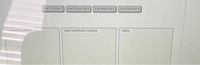 frameshift mutation base substitution mutation | Chegg.com