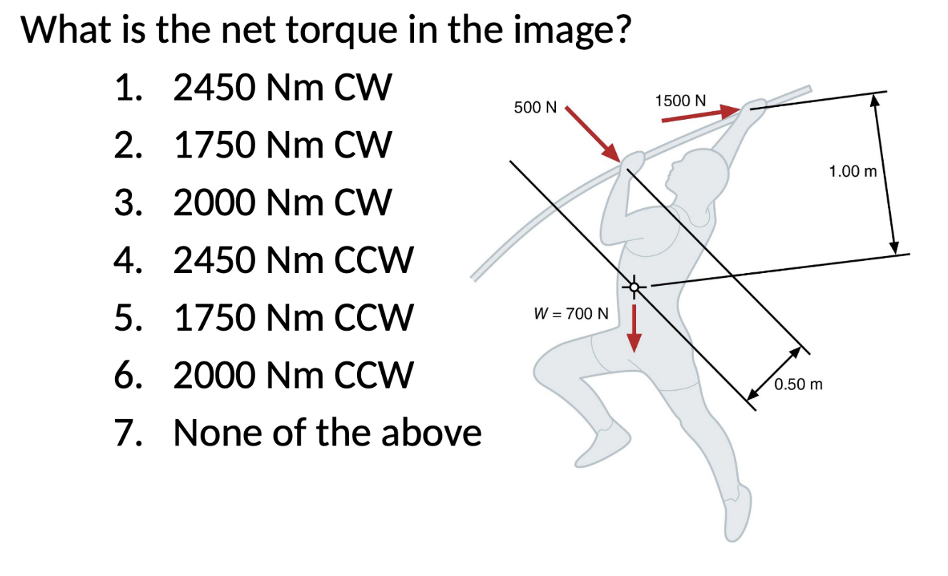 Solved What is the net torque in the | Chegg.com