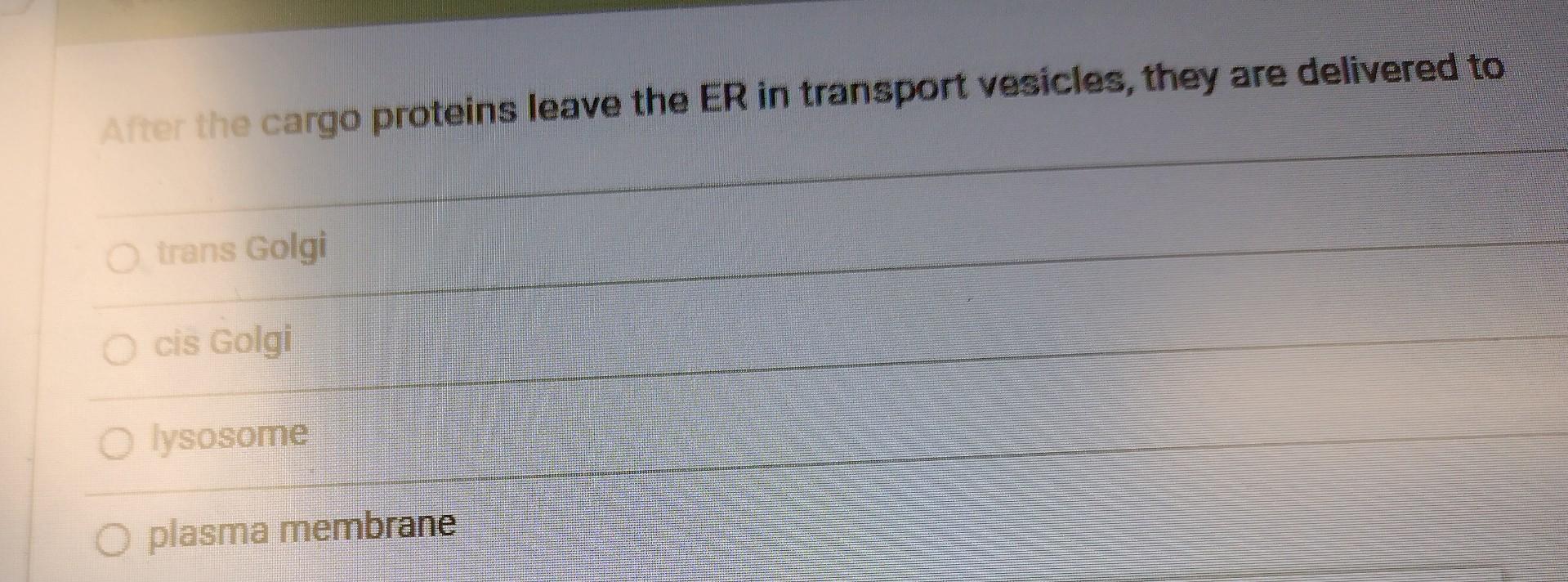 Solved Ahtar the cargo proteins leave the ER in transport | Chegg.com