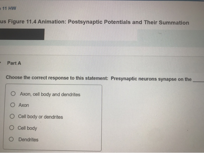Solved 11 Hw Us Figure 11 4 Animation Postsynaptic