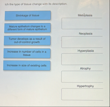 Solved tch the type of tissue change with its | Chegg.com