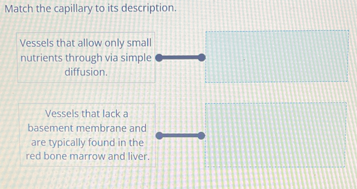 Solved Match the capillary to its description.Vessels that | Chegg.com