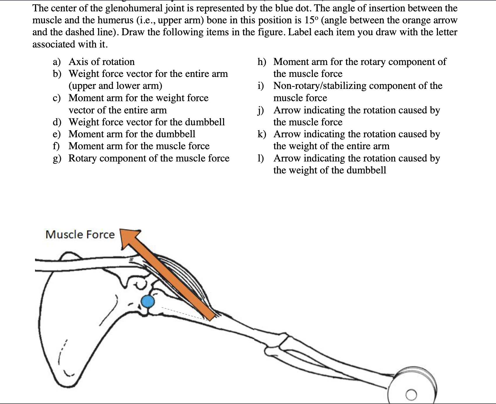 The figure blow shows the shoulder complex, upper | Chegg.com