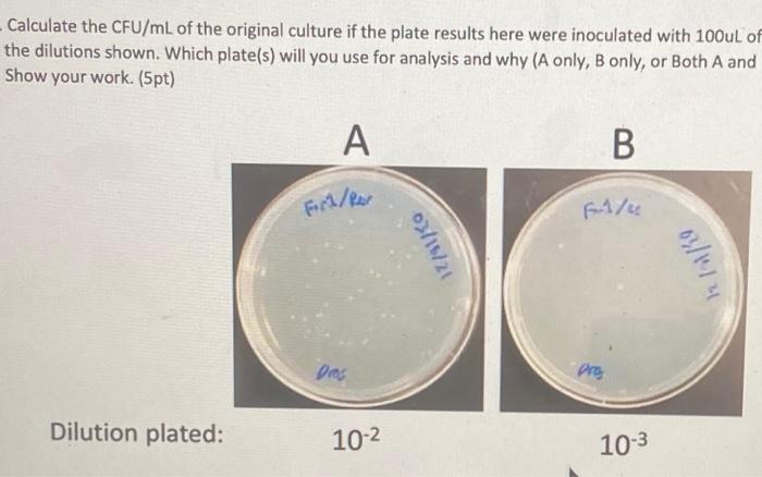 Solved - Calculate the CFU/mL of the original culture if the | Chegg.com